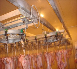 Buy Rabbit Slaughter Houses And Meat Processing Equipment from Zhucheng ...