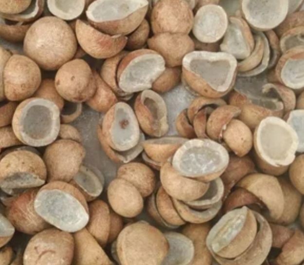 Buy Coconut Copra from Sky Enterprises, India | Tradewheel.com