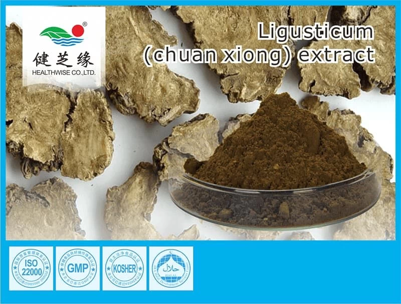 Buy Root Extract from Kaiping healthwise health food co., ltd, China ...