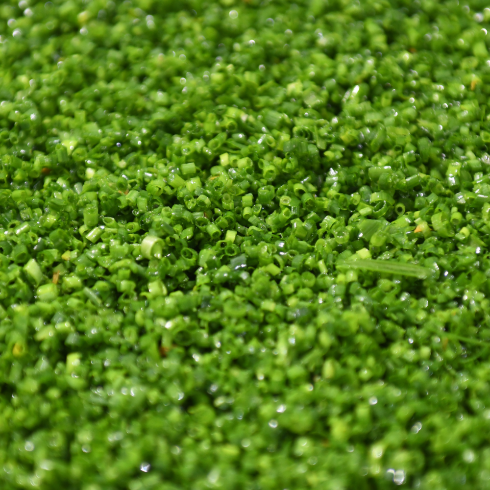 Buy Freeze Fried Chives from Youyu County Tuyuan Industrial Co., Ltd ...