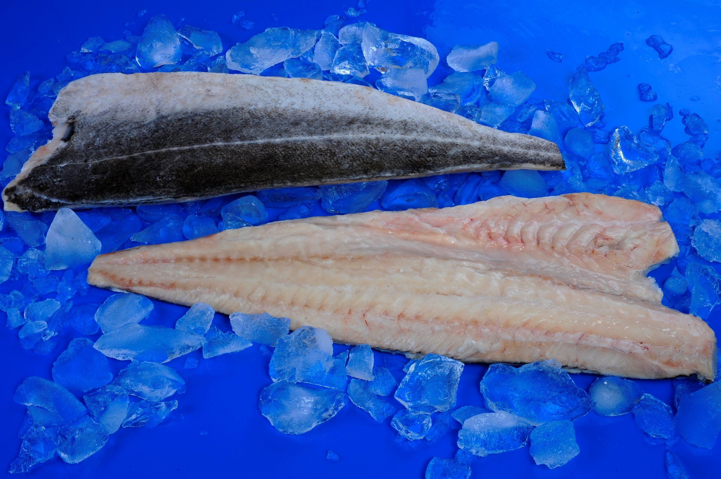 Buy Frozen Saithe Fillet High Quality For Sale from Bright Future ...