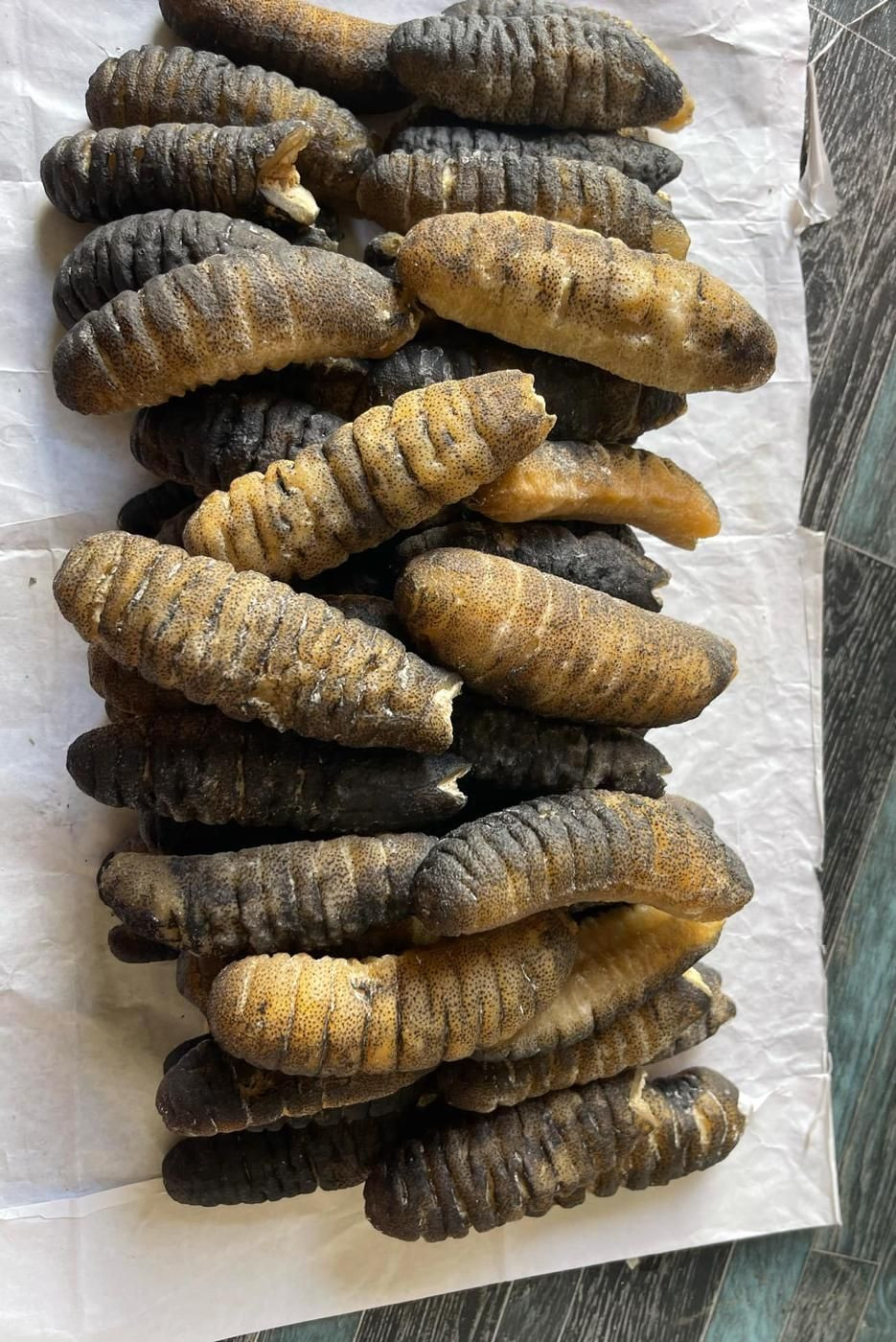 Buy Premium Dried Sea Cucumber (sandfish / Holothuria Scabra / Bech De ...
