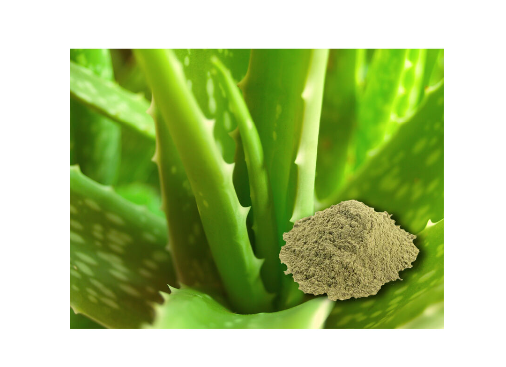 Buy Aloe Vera Extract For Food Cosmetic Pharmaceutical from Pilotexport ...