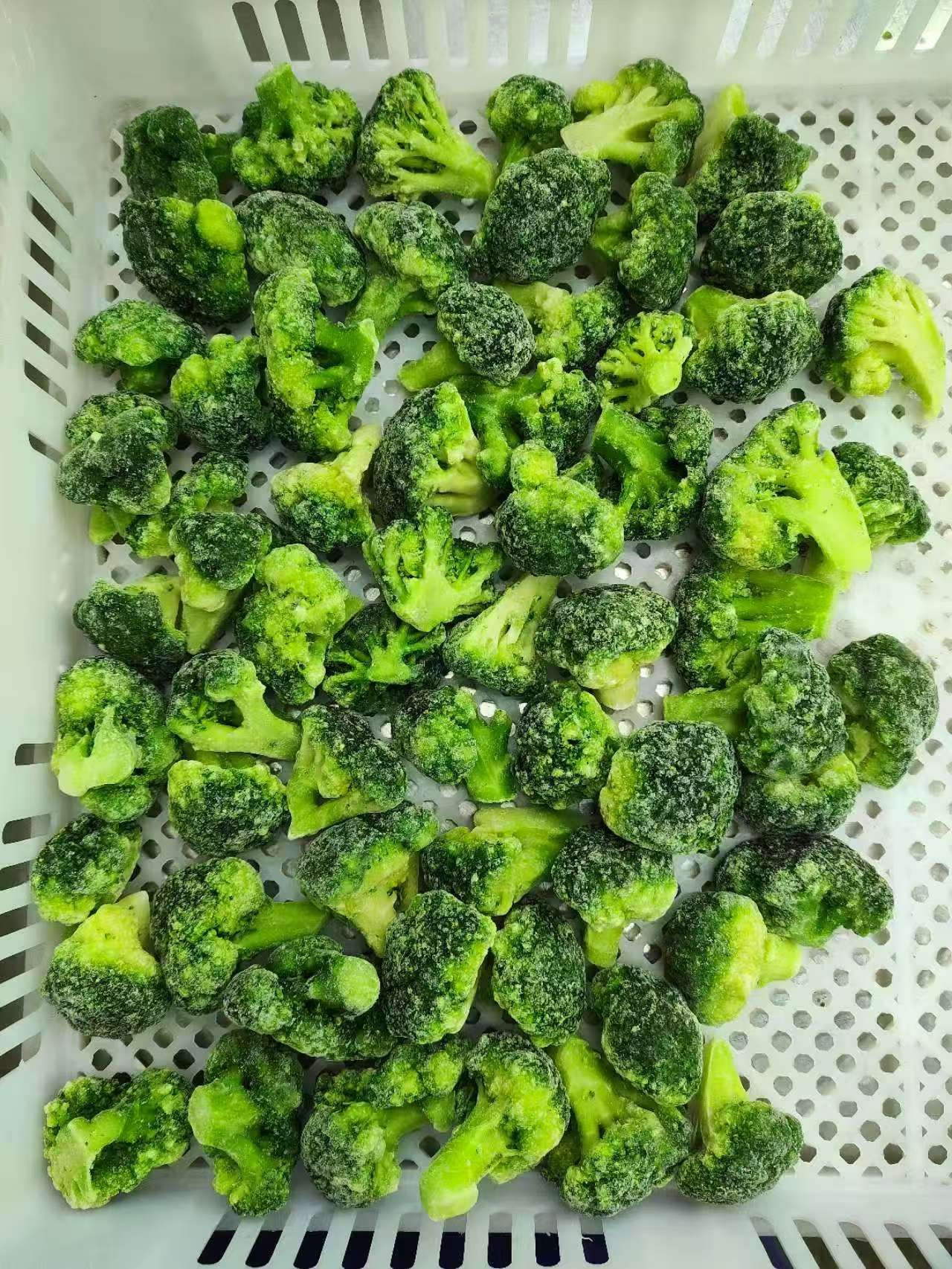 Buy Iqf Broccoli from Shandong Guohai imports and exports Co.,Itd ...