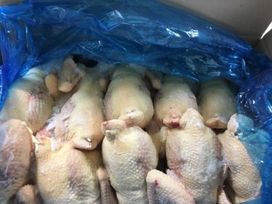 Buy Frozen Halal Chicken And Chicken Parts Bulk Quantity Ready For ...