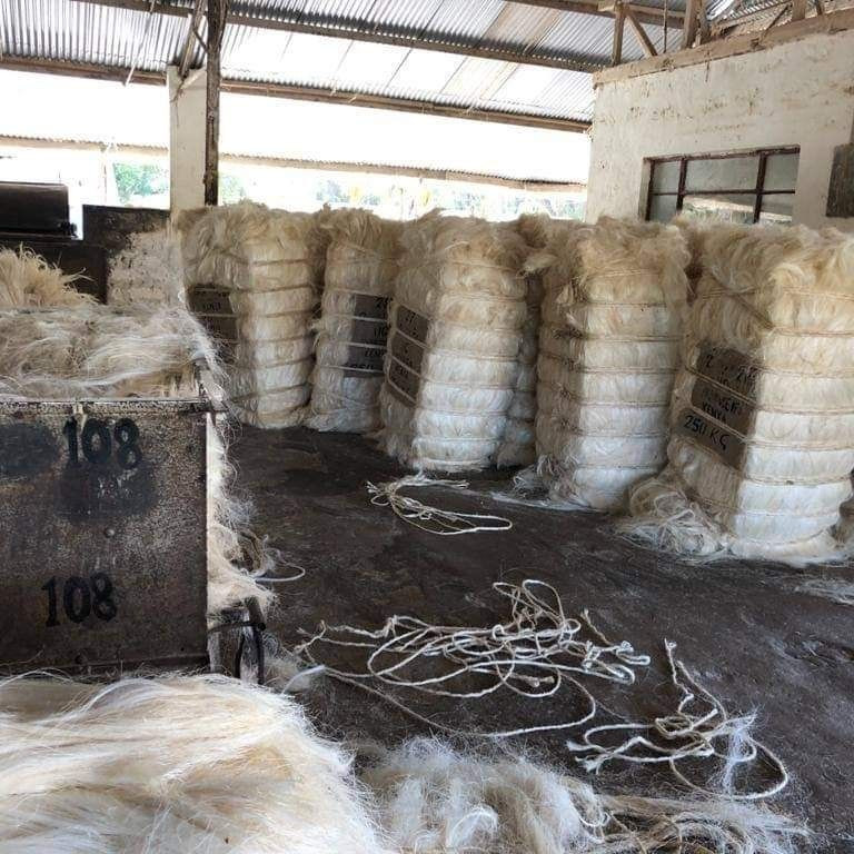 Buy Direct Factory 100% Hemp Sisal Fiber And Ssug Natural Sisal Fiber ...