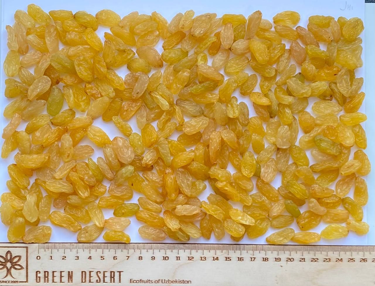 Buy Raisins From Uzbekistan from TRUSTECO GROUP, Kazakhstan ...