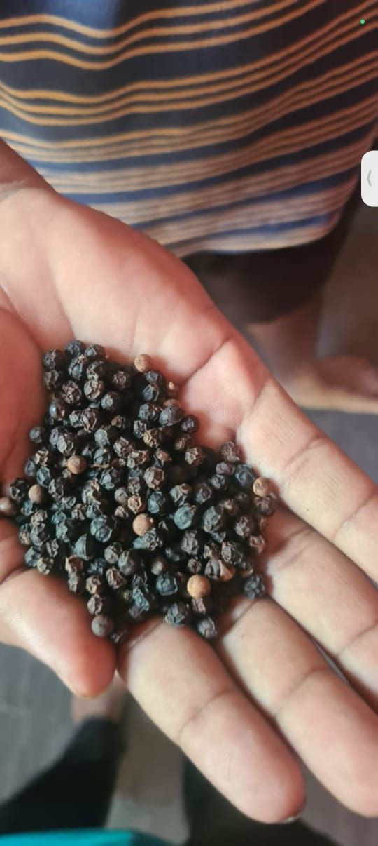 Buy Pepper from Gugan Exports, India | Tradewheel.com