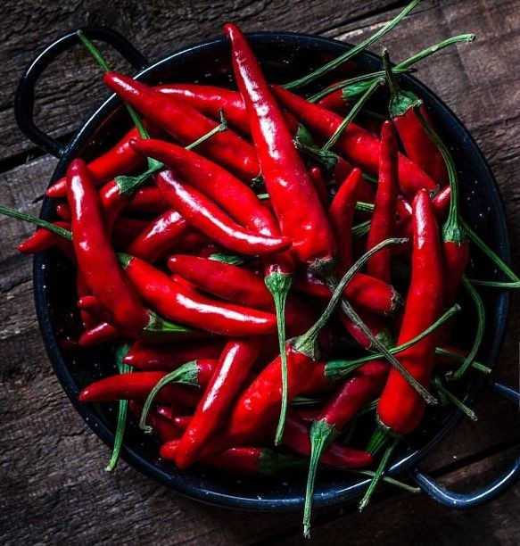 Buy Premium Red Chilli from Sunshine Global Exporter, India ...