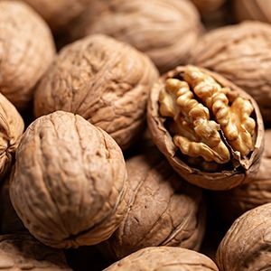 Buy Walnuts from IT EXPORT ASEAN LLC, Uzbekistan | Tradewheel.com