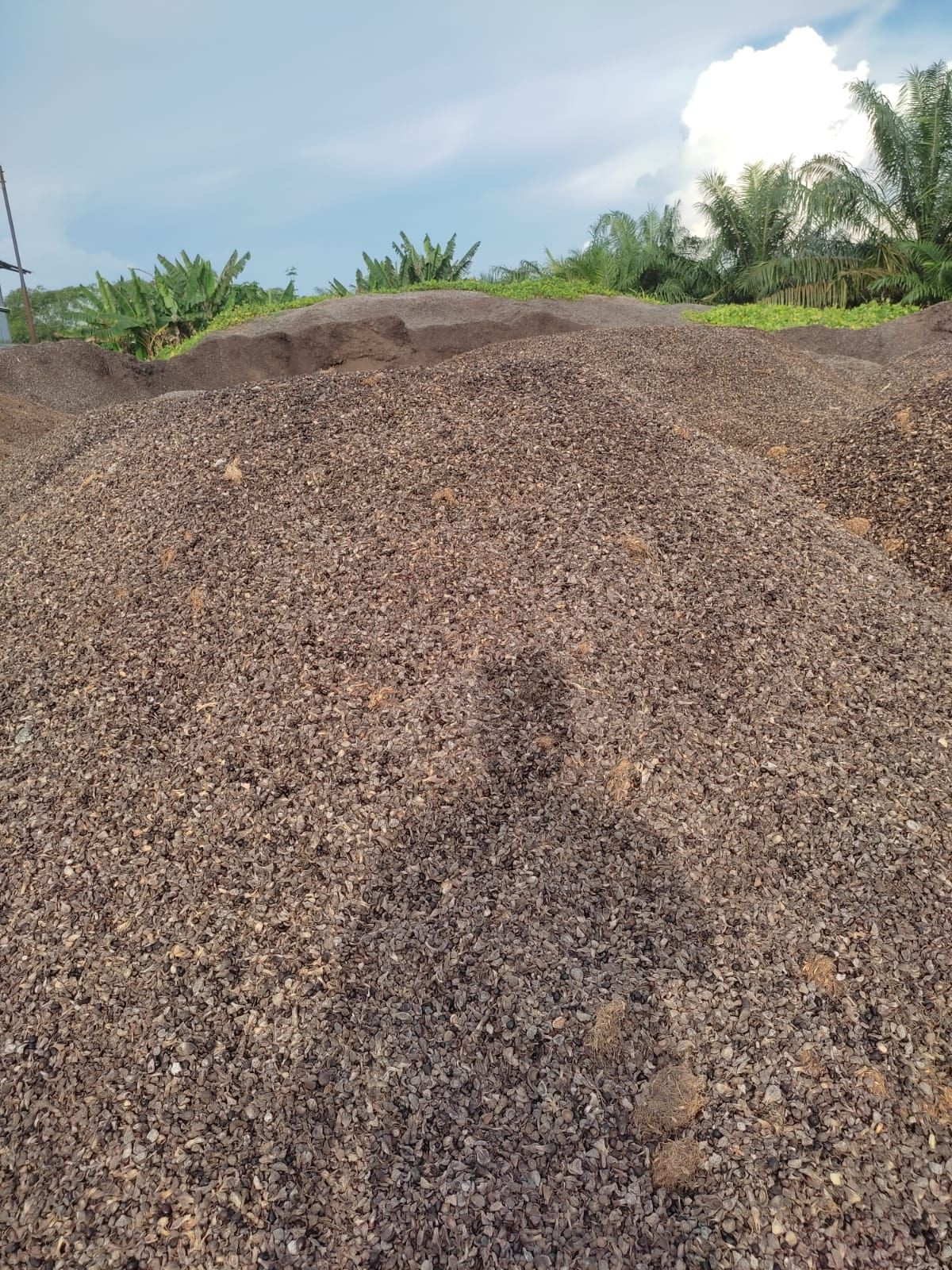 Buy Palm Kernel Shell from Kathari Indonesia, Indonesia | Tradewheel.com