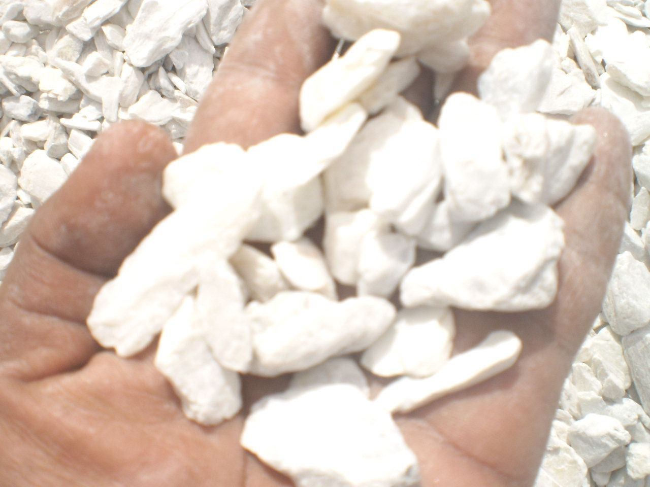 Buy Talc Lumps from Company - M/S Plan & Progress International ...