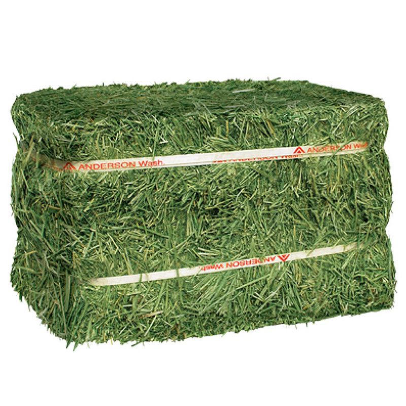 Buy Alfalfa Hay For Animal Feed At Wholesale Price Alfalfa Hay from ...