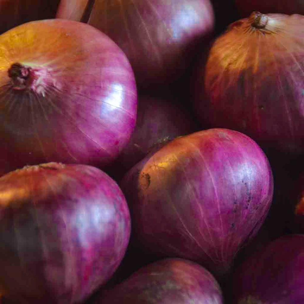 Buy Best Fresh Indian Onion Available In Bulk from PETRO GOLD ...