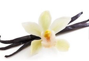 Buy Vanilla Extract, Vanilla Powder, Organic Vanilla Beans Best Price ...