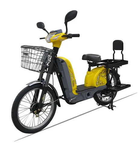 Buy Heavry Loading Electric Bicycle/e Bike/carry Cargo Electric Bicycle ...