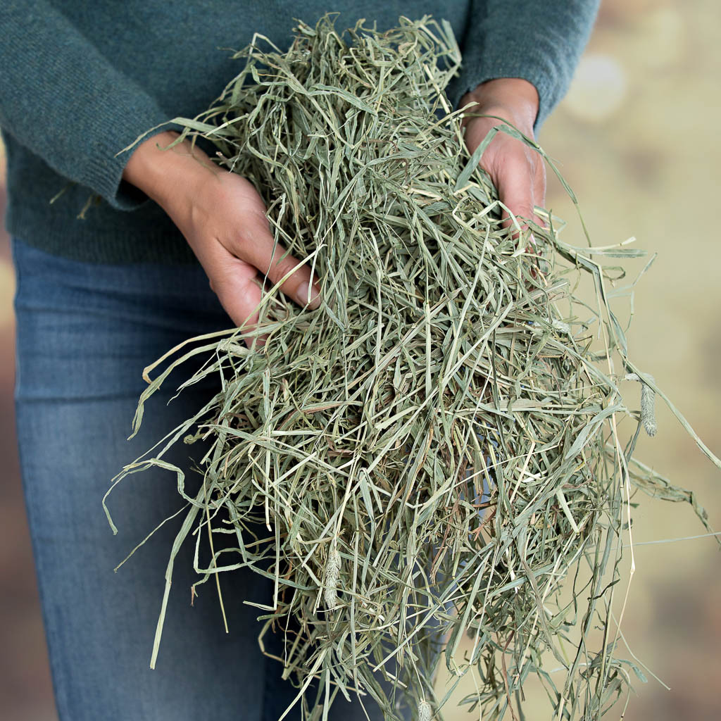 Buy Timothy Hay Perfect For Rabbits, Chinchillas And Small Animals from ...