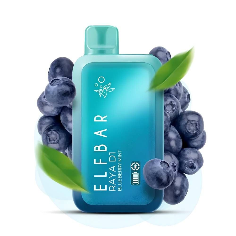 Buy Elf Bar Raya D1 Blueberry Mint 13000 Puffs Disposable Vape ...