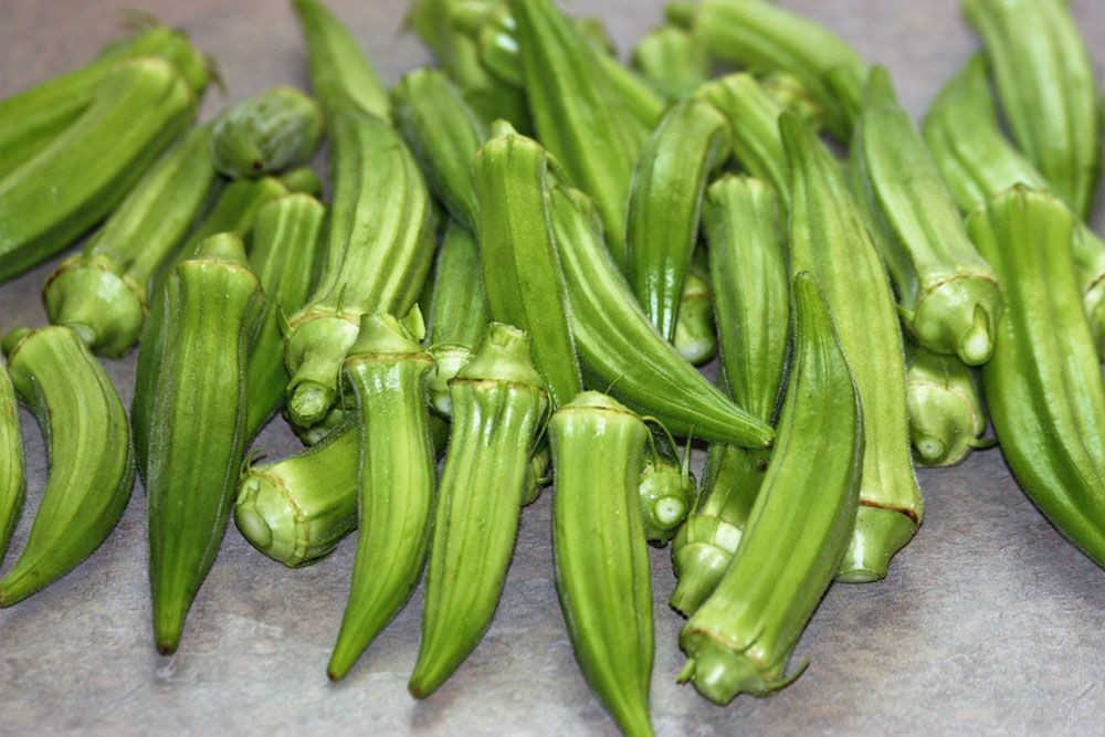 Buy Fresh Okra – Premium Grade A | Export Quality | Wholesale Supply ...