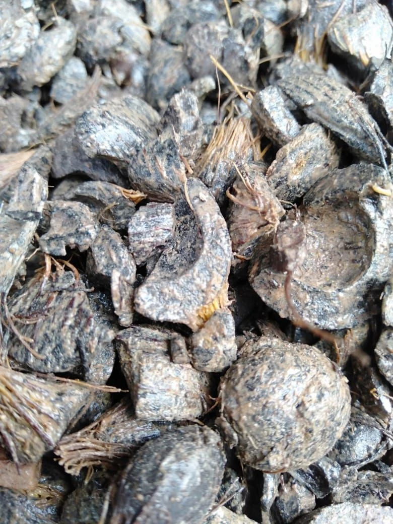 Buy Palm Kernel Shells from PT. Alam Prima Citra Setia, Indonesia ...
