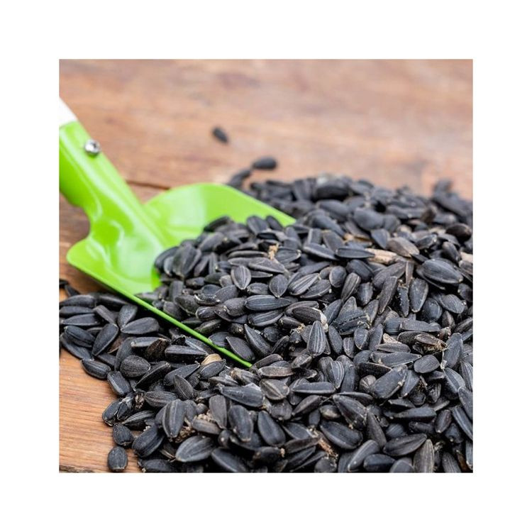 Buy Bulk Striped Sunflower Seeds For Retail Supply from Afrivet Trading ...
