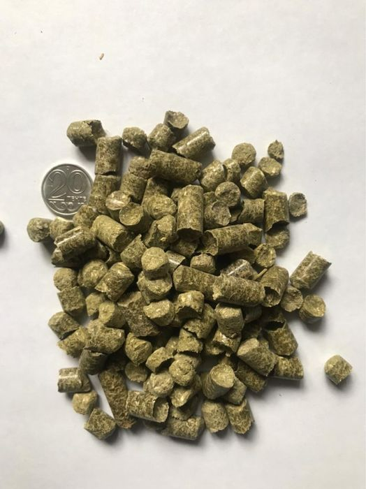 Buy Alfalfa Hay, Pellets from PATHFINDER, Kazakhstan | Tradewheel.com