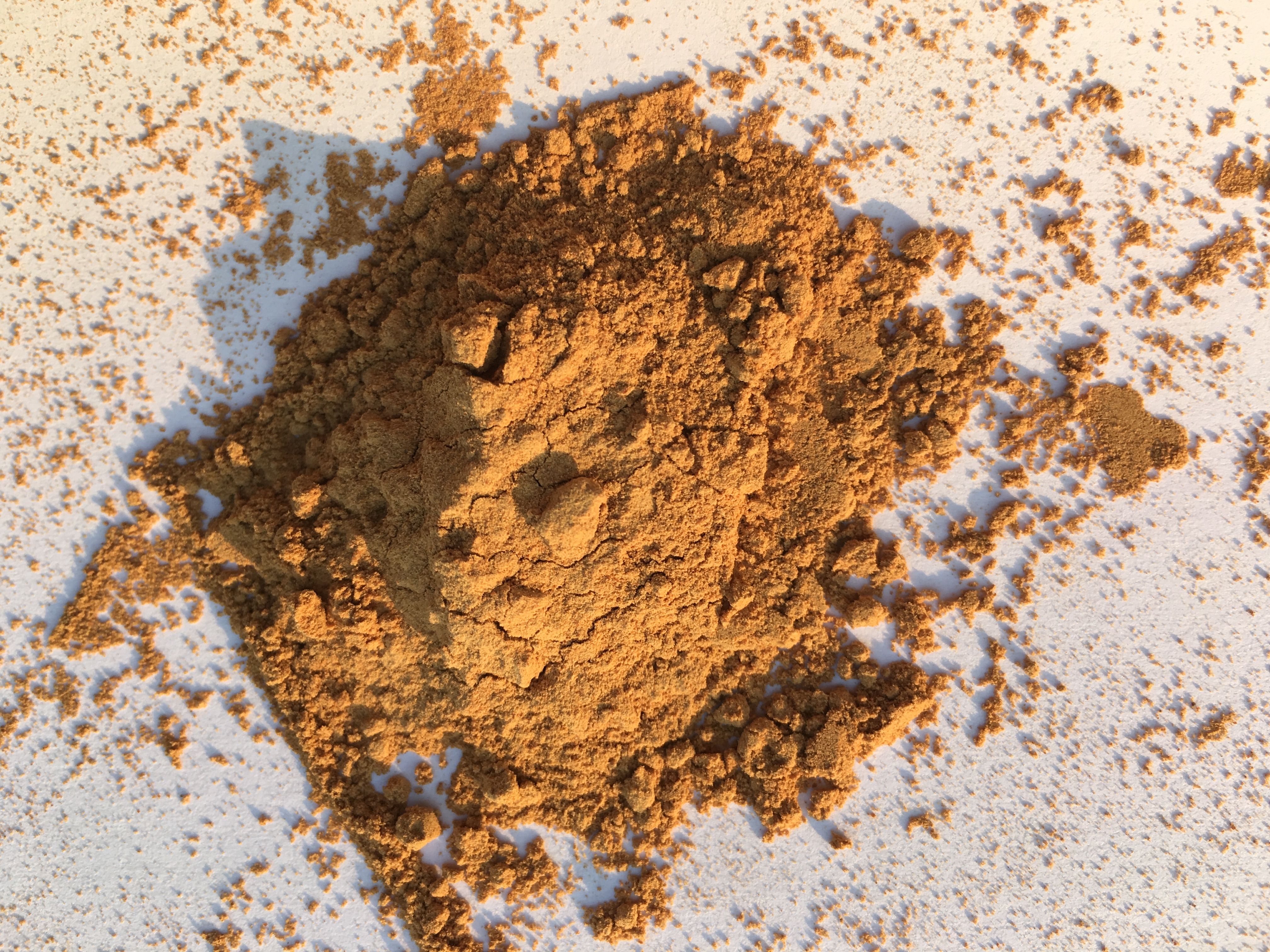 Buy Organic Agaricus Blazei Muril Extract Powder Abm Mushroom from ...