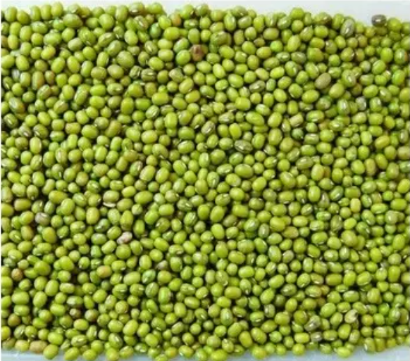 Buy Best Price Green Mung Beans / Whole Moong Beans Bulk Stock ...