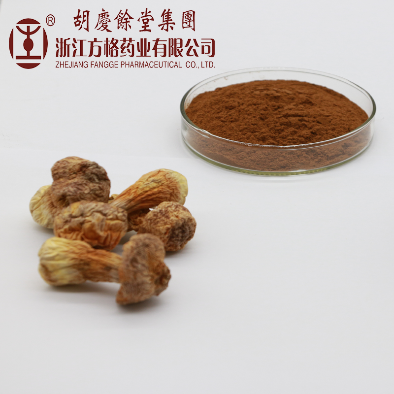 Buy Organic Agaricus Blazei Muril Extract Powder Abm Mushroom from ...