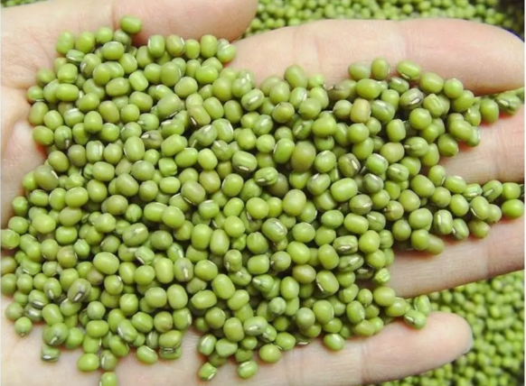 Buy Best Price Green Mung Beans / Whole Moong Beans Bulk Stock ...