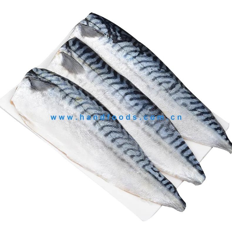 Buy Frozen Lightly Salted Atlantic Mackerel Fillets from Hand Foods ...