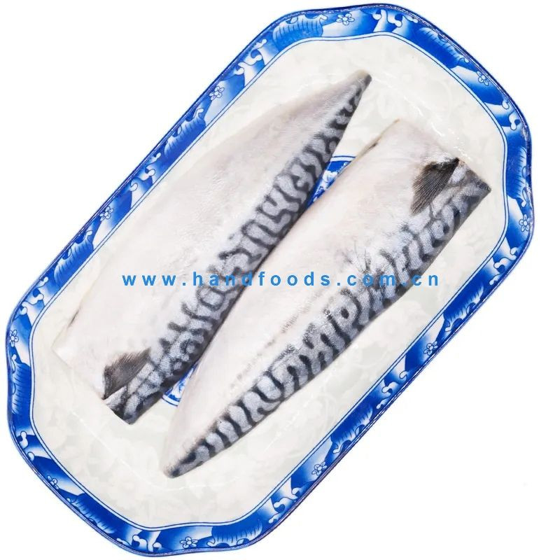 Buy Frozen Lightly Salted Atlantic Mackerel Fillets from Hand Foods ...