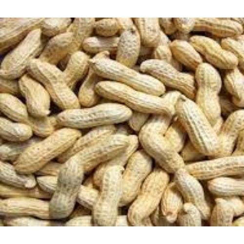 Buy Peanut Tj 37 from PIYALI AGRO, India | Tradewheel.com