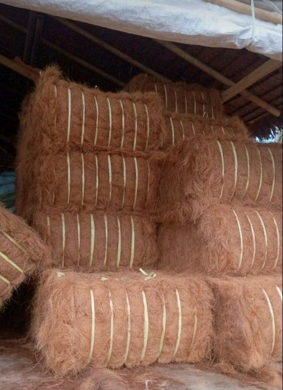 Buy Coco Fiber In Best Rates from sunday coconut, Indonesia ...