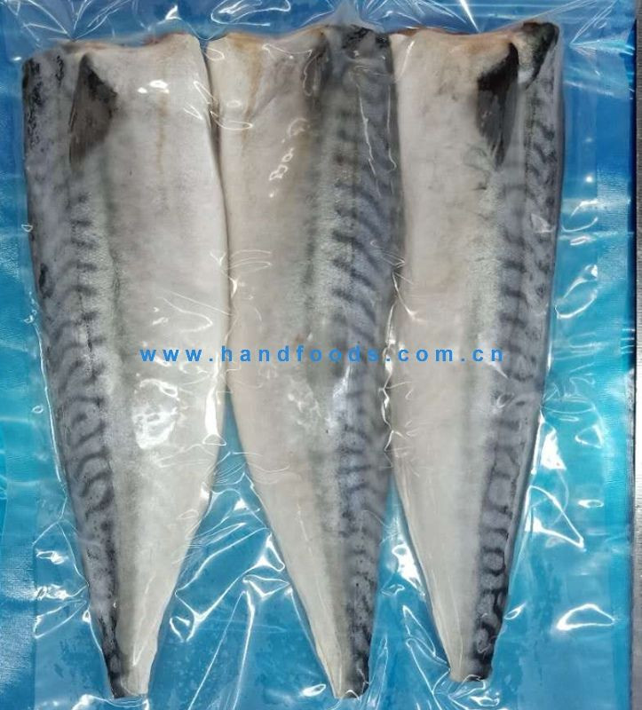 Buy Frozen Lightly Salted Atlantic Mackerel Fillets from Hand Foods ...