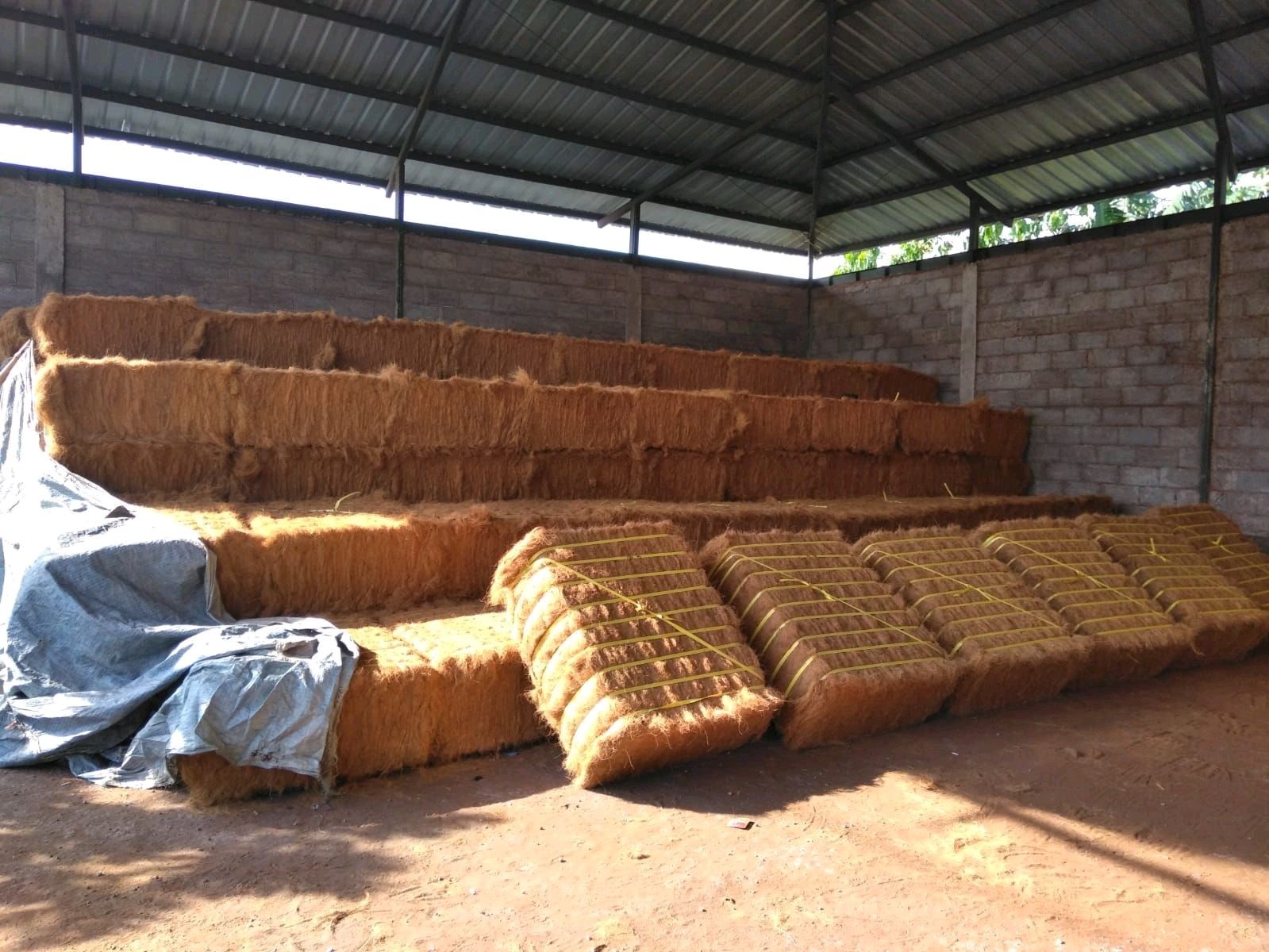 Buy Coco Fiber In Best Rates from sunday coconut, Indonesia ...