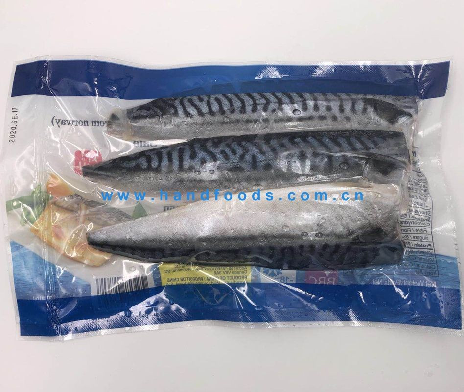 Buy Frozen Lightly Salted Atlantic Mackerel Fillets from Hand Foods ...