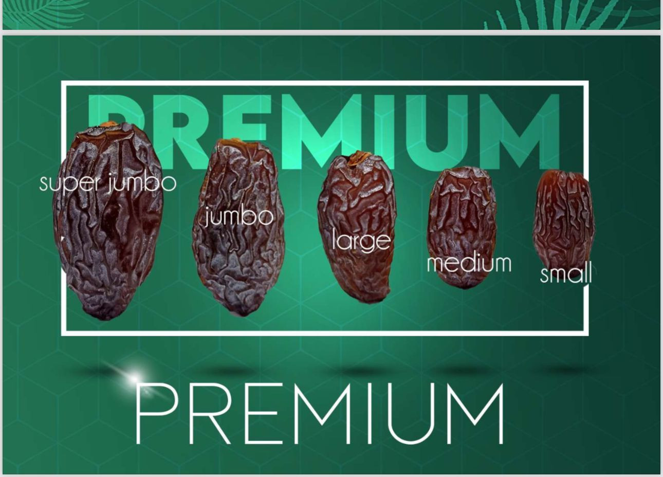 Buy Majdol Dates from Rivera Export & Import - Dates, Jordan ...