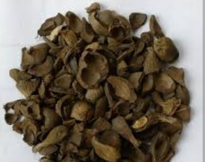 Buy Palm Kernel Nut, Shell from Grayson Global Limited, Nigeria ...