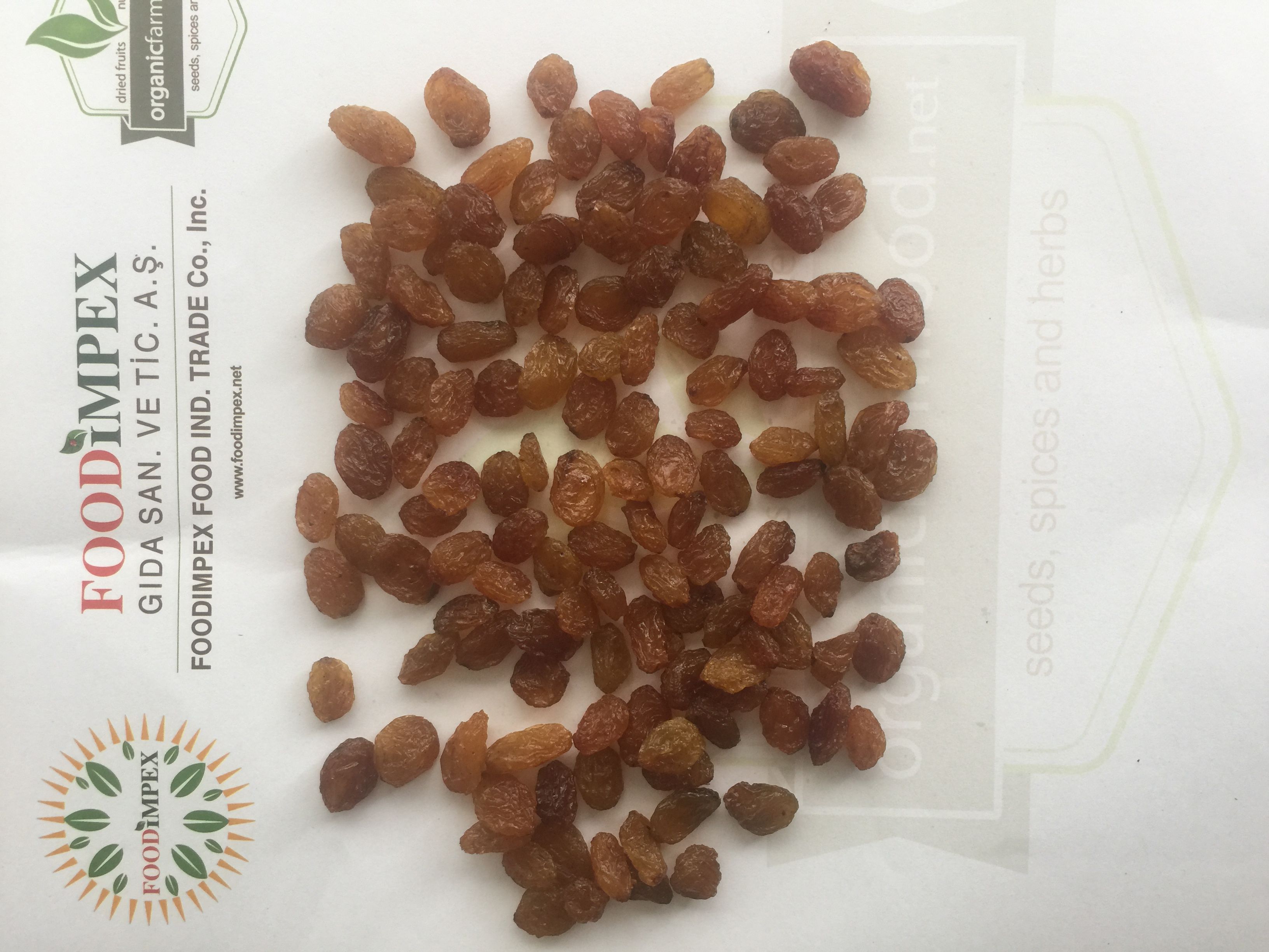 Buy Raisin Sultanas from FOODIMPEX GIDA SANAYI ve TICARET AS, Republic ...