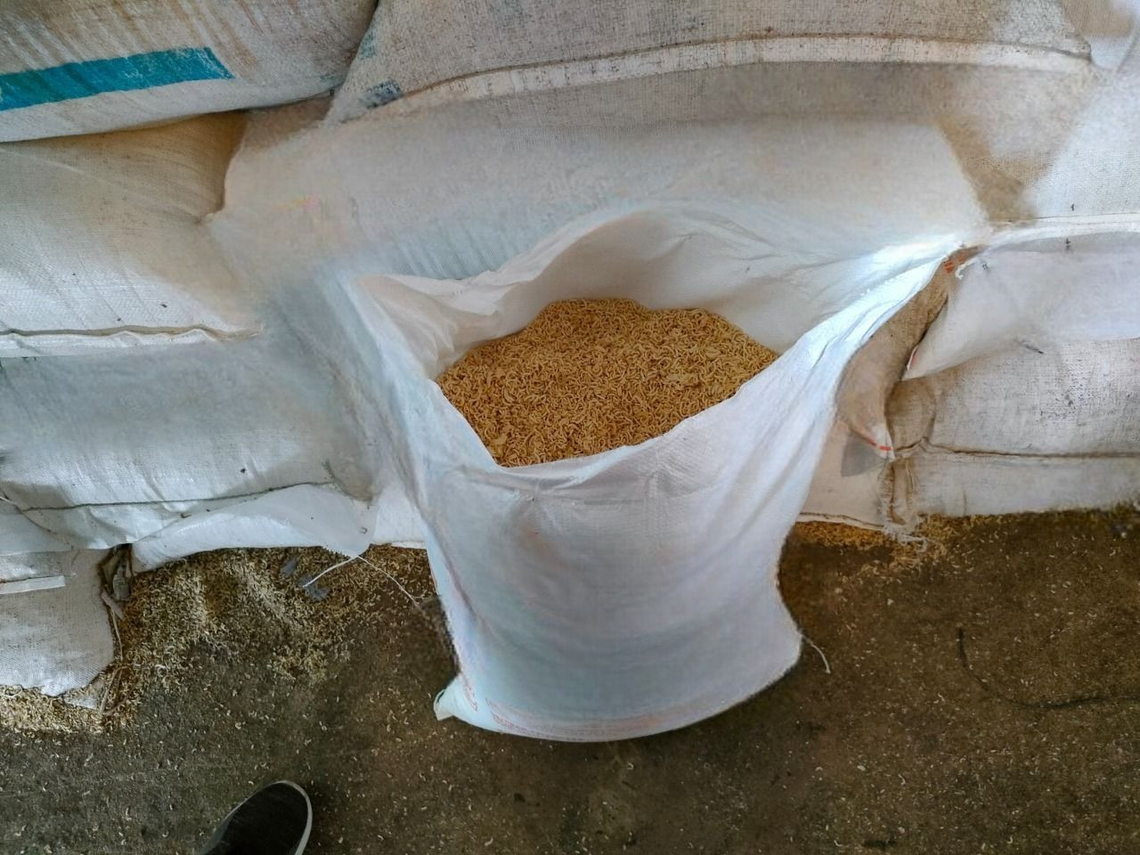 Buy Animal Feed from PT. ISC Owwtims Sukses, Indonesia | Tradewheel.com