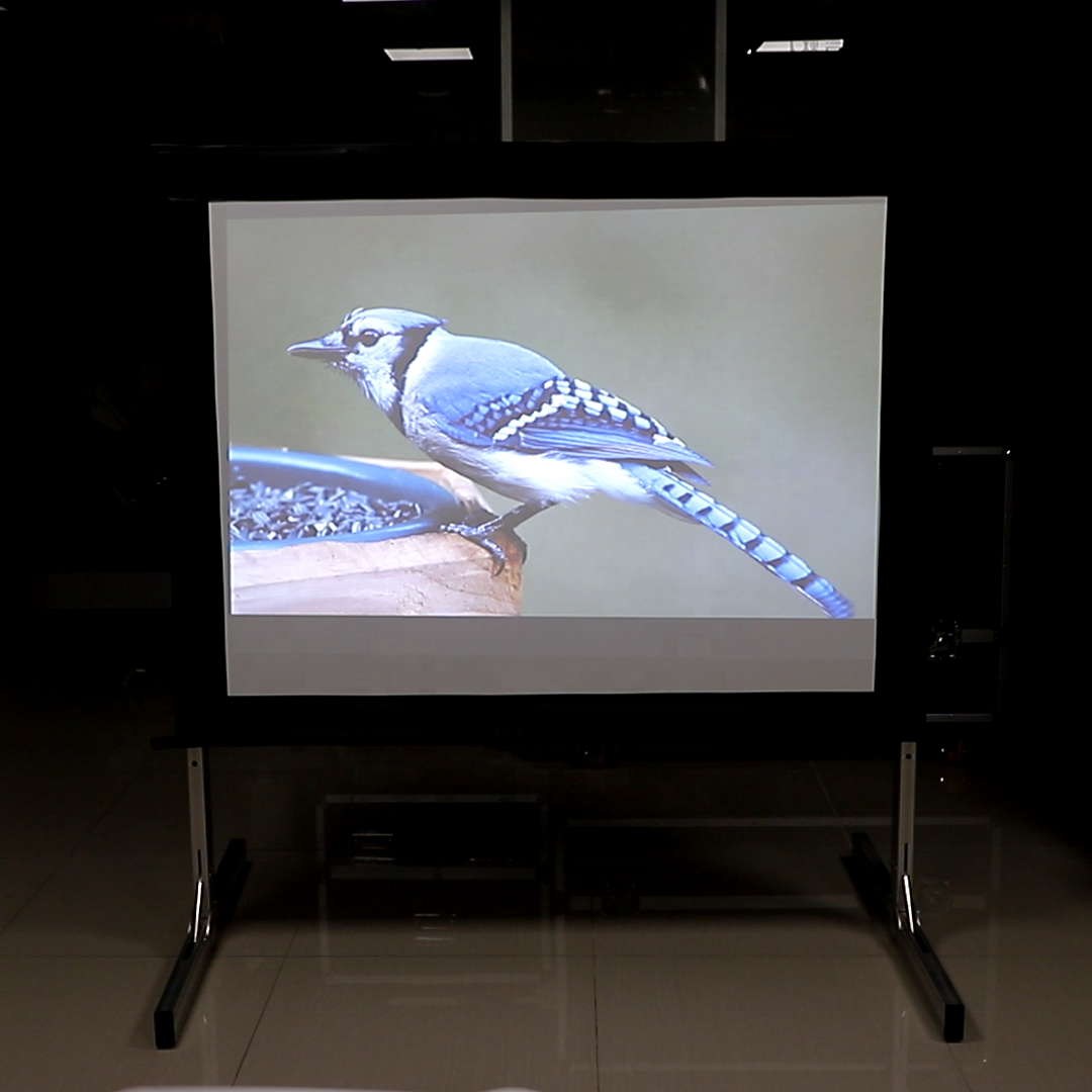 Buy 120 Inch Outdoor Portable Projector Screen, Easy Fast Fold ...