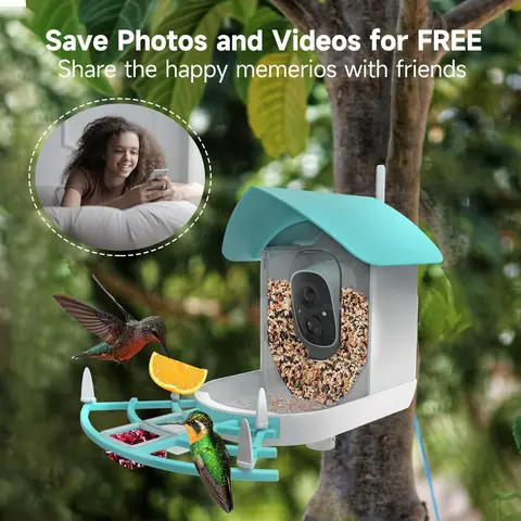 Buy Ai Identify Birds Species Smart Birds Camera Solar Powered Smart ...