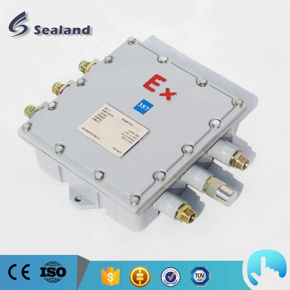 Buy Cng -15 Natural Gas Mass Flow Meter from Zhejiang Sealand ...