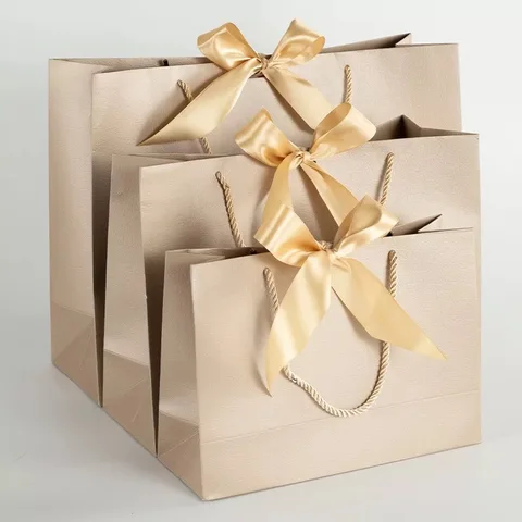 Buy Custom Color Recycled Ivory Clothes Packaging Gift Bag With Ribbon ...