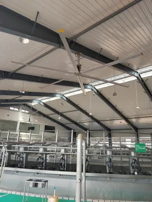 Buy Dairy Farm Industrial Workshop Ventilation Cooling Blower Ceiling ...