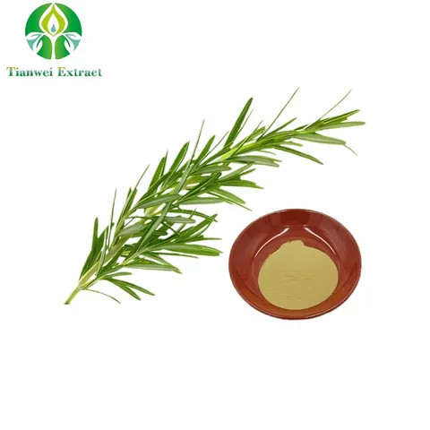 Buy High Quality Natural Rosemary Extract Rosemary Acid / Carnosic Acid ...
