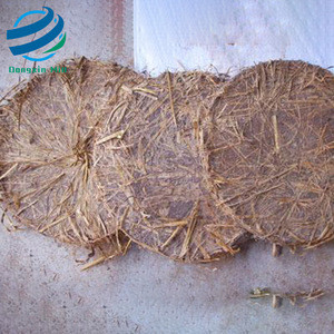 Buy Organic Fertilizer Tea Seed Meal With Straw Tea Seed Cake With High ...