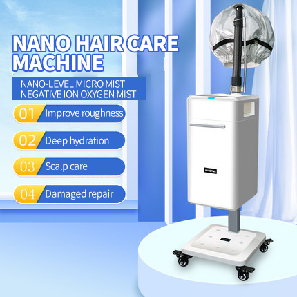 Buy Professional Moisturizer Ozone Hair Steamer Micro Mist Machine ...