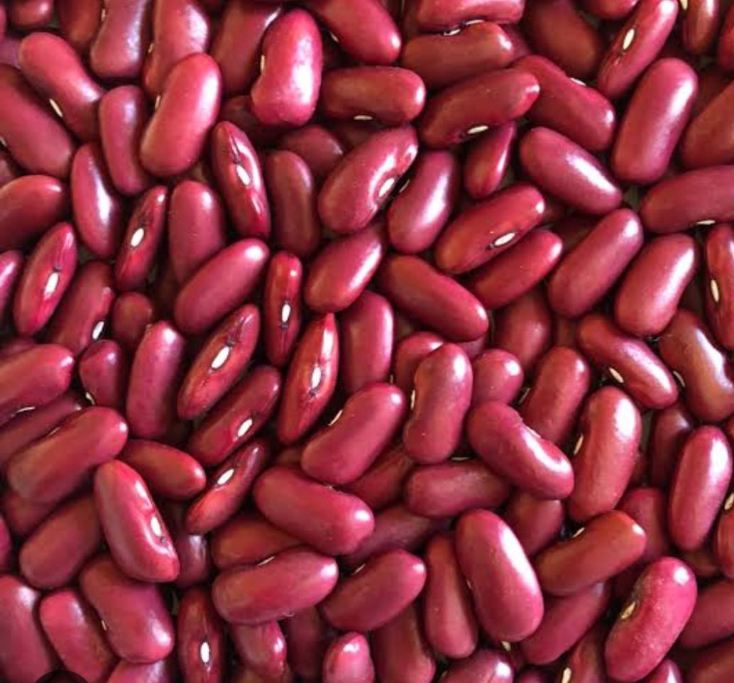 Buy Kidney Bean from Amanazina PLC, Ethiopia | Tradewheel.com